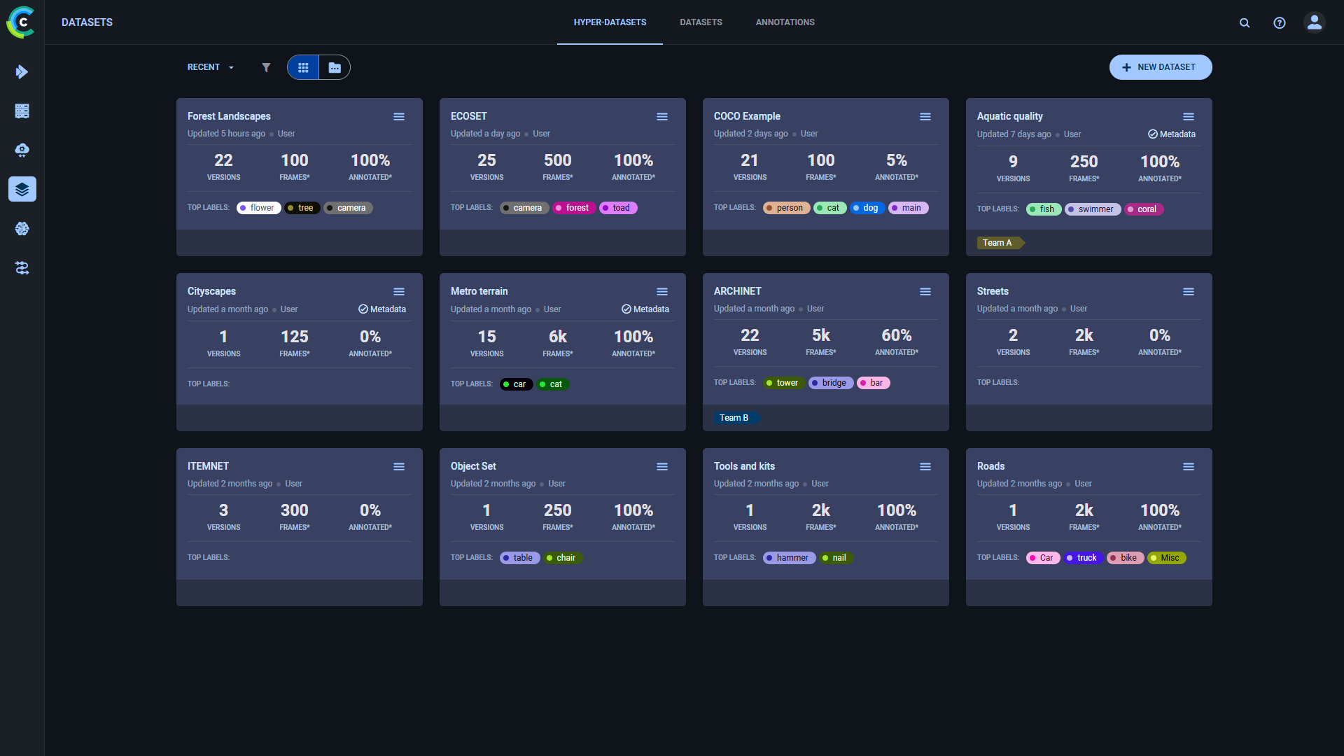 Hyper-Datasets Page | ClearML