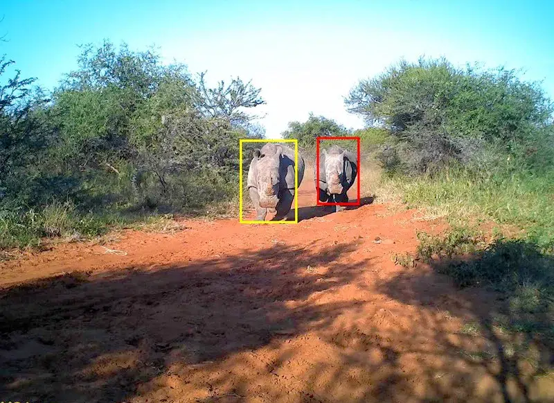 How Wildlife Protection Solutions Uses ClearML to Support Camera Trap ...